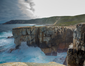 Lime303 | Dog Rock Motel